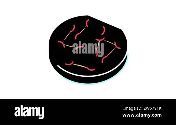 Bacteria corynebacterium diphtheriae color Stock Videos & Footage - HD ...