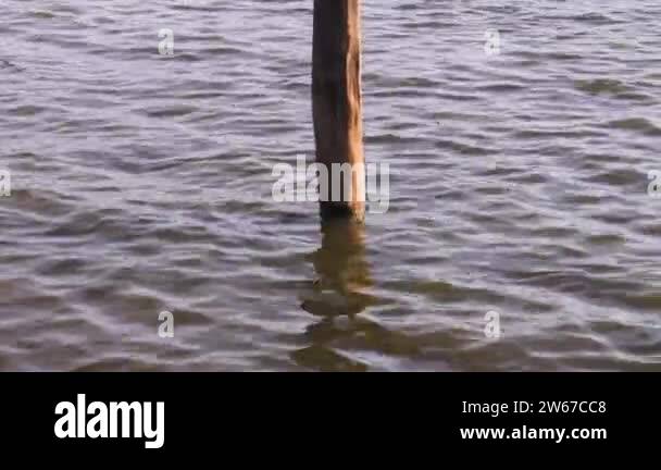 Rotten wooden pole Stock Videos & Footage - HD and 4K Video Clips - Alamy