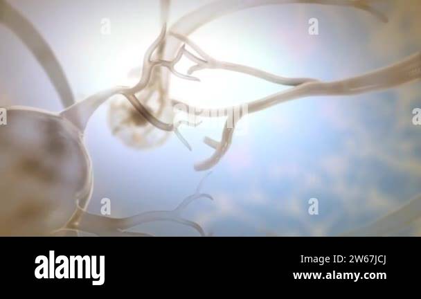 Death of neurons Stock Videos & Footage - HD and 4K Video Clips - Alamy