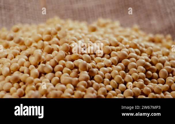 Soybean, High in fiber, top view texture, supplementary food, Protein ...