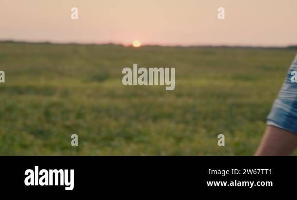 Sun shake Stock Videos & Footage - HD and 4K Video Clips - Alamy