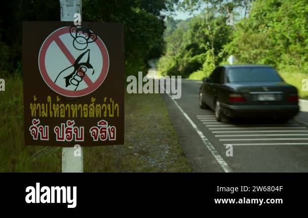 Animal feed sign Stock Videos & Footage - HD and 4K Video Clips - Alamy