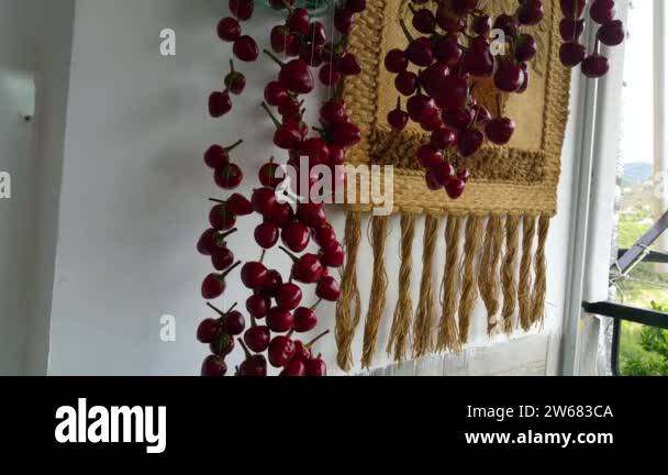 A lot of red peppers hanging on the wall of house and drying on ...