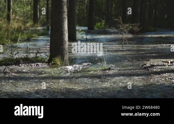 Flood in the alps Stock Videos & Footage - HD and 4K Video Clips - Alamy