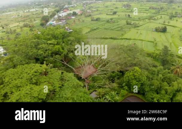 Tree top hut Stock Videos & Footage - HD and 4K Video Clips - Alamy