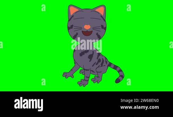 Animated cat emoji laughter. The cartoon cat is laughing. Green screen ...