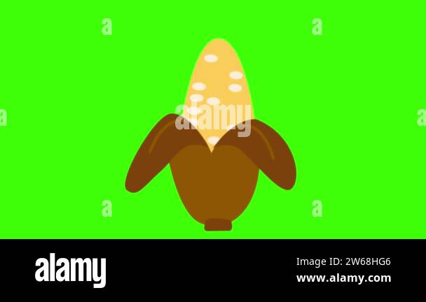 Corn vector cartoon corn Stock Videos & Footage - HD and 4K Video Clips ...