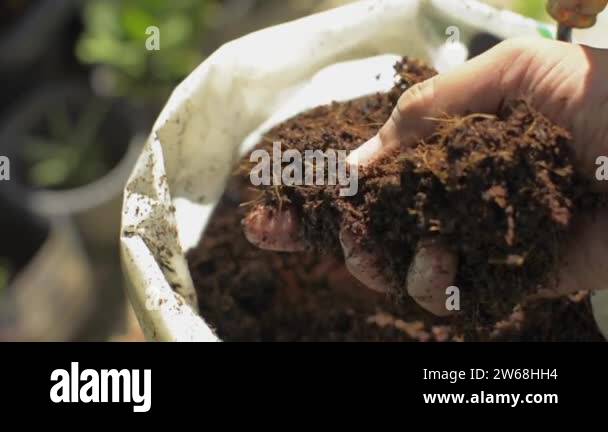 Bag compost black plastic Stock Videos & Footage - HD and 4K Video ...