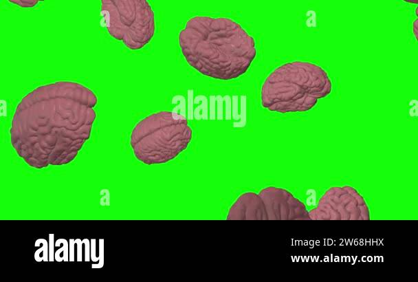 Genius green screen Stock Videos & Footage - HD and 4K Video Clips - Alamy