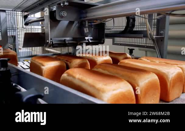Loafs of bread in a bakery on an automated conveyor belt. Bread ...