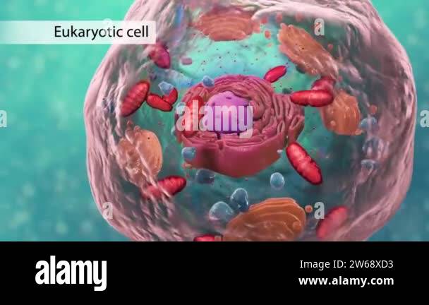 Dna cell membrane Stock Videos & Footage - HD and 4K Video Clips - Alamy