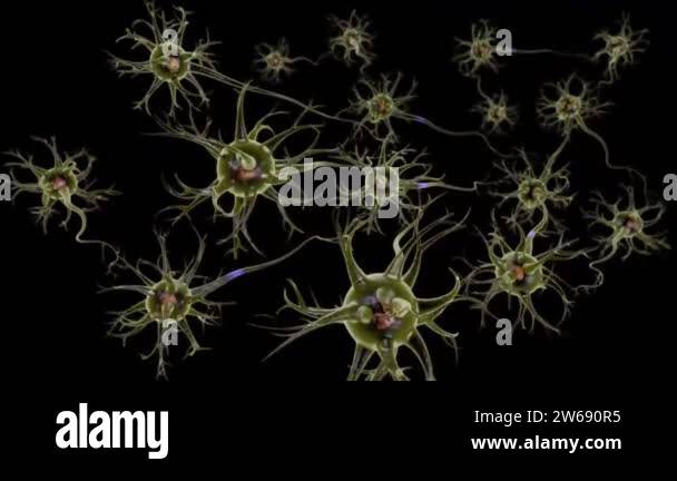 Neuronal And Synapse Activity Animation Neurons In The Head Neuroactivity Synapses