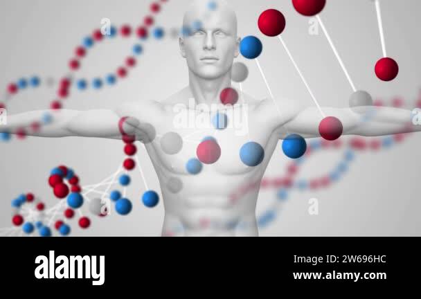 Isolated illustration genetics model Stock Videos & Footage - HD and 4K ...