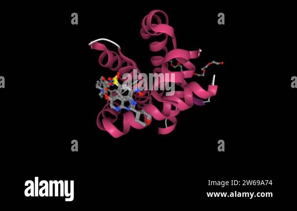 Crystal structure of BCL-2 complexed with venetoclax. Animated 3D ...