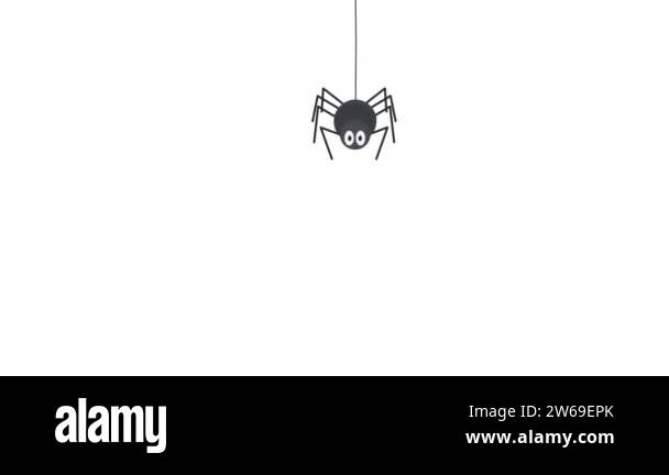 Cartoon character spider. Animation of a spider descending on a web ...