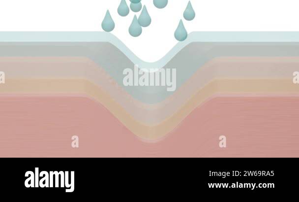 3d animation rendering orthographic projection of the anatomy of the ...