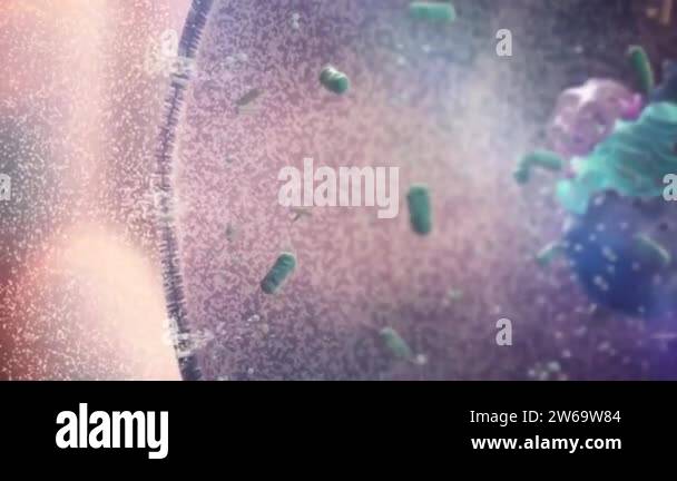 Cancer Cell Division. Tumor Growth and Progression. Abnormal and ...