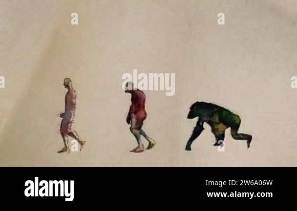 Evolution development theory Stock Videos & Footage - HD and 4K Video ...