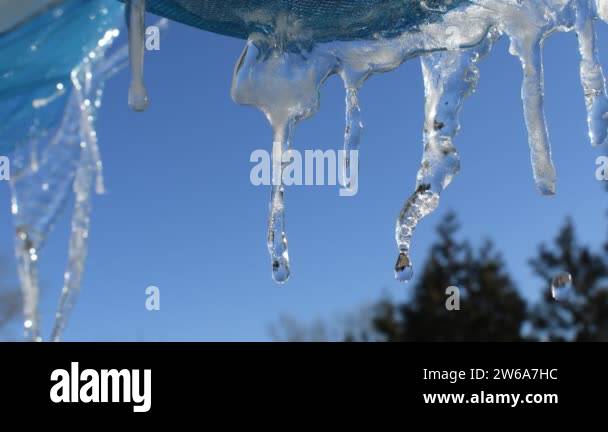 beautiful large icicles. the icicles are melting. Many beautiful ...