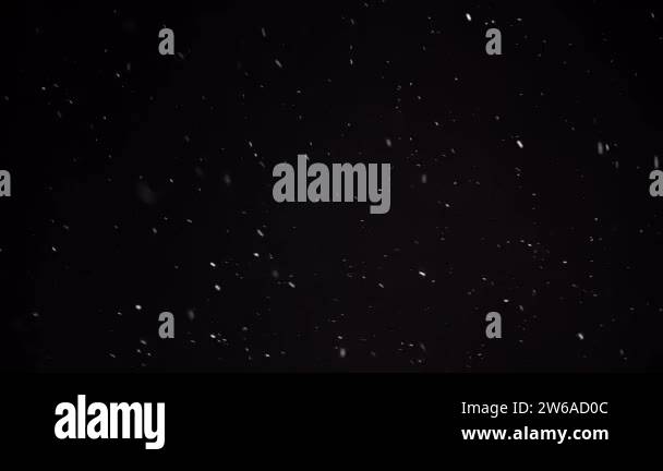 Real snow, falling snow, isolated on black background in 4K Stock Video ...