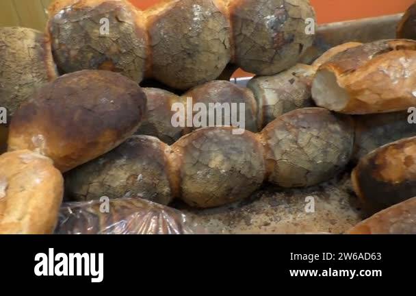 Malta bread Stock Videos & Footage - HD and 4K Video Clips - Alamy
