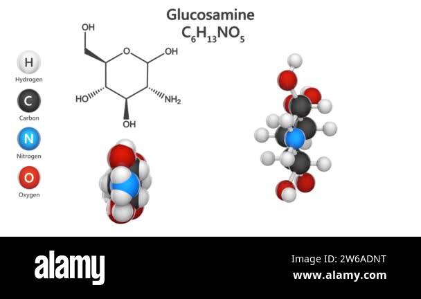 Glucosamine (C6H13NO5) is an amino sugar. treatment for osteoarthritis. Chemical structure model ...