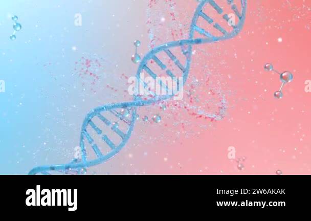 Division of inheritance Stock Videos & Footage - HD and 4K Video Clips ...