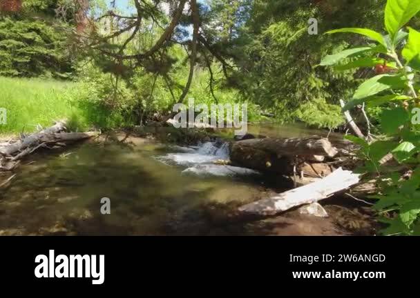 Tree log waterfall falling Stock Videos & Footage - HD and 4K Video ...
