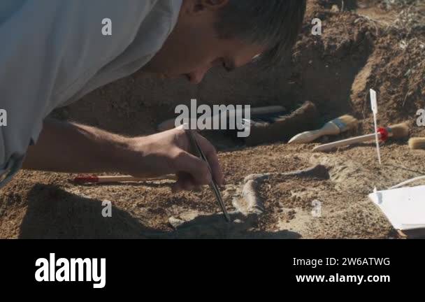 Archaeologist digging tool Stock Videos & Footage - HD and 4K Video ...
