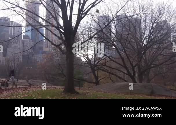 Central Park With Trees, People And City View - Pan - Right To Left ...