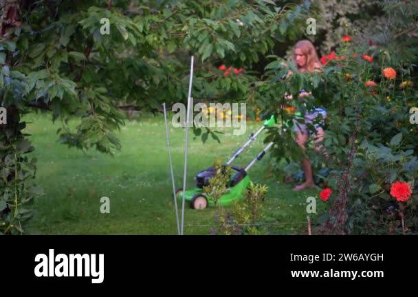 Gardener girl start engine of lawn mower and cut grass between trees ...