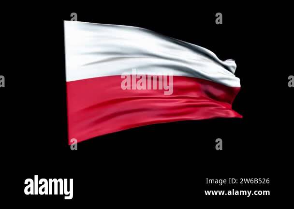 Realistic Poland flag is waving 3D animation. National flag of Poland ...