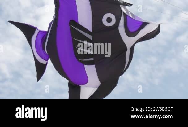Moorish Idol Air Swimmer - "Finding Nemo" characters Kites flying on ...