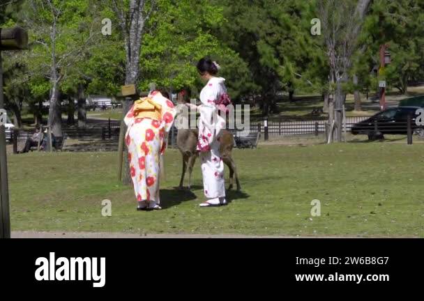 Nara, Japan-15 April, 2019: Slow motion maiko geisha taking a bow of ...