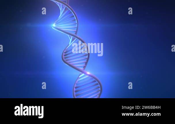 3d dna replication model Stock Videos & Footage - HD and 4K Video Clips ...