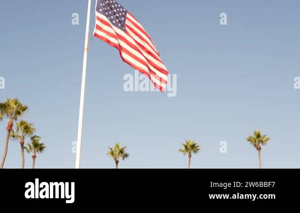 Palms and american flag, Los Angeles, California USA. Summertime ...