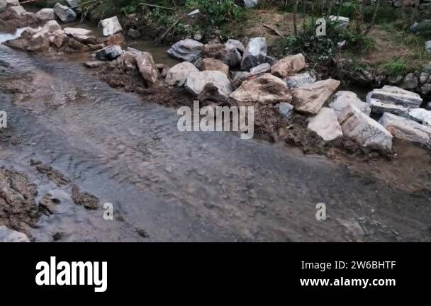 Saving the ecosystem Stock Videos & Footage - HD and 4K Video Clips - Alamy