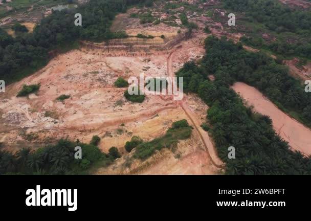 Mud tree Stock Videos & Footage - HD and 4K Video Clips - Alamy