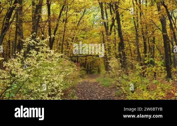 Bright pathway Stock Videos & Footage - HD and 4K Video Clips - Alamy