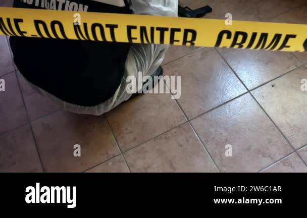 csi investigator at the crime scene who inspects with blue flashlights ...