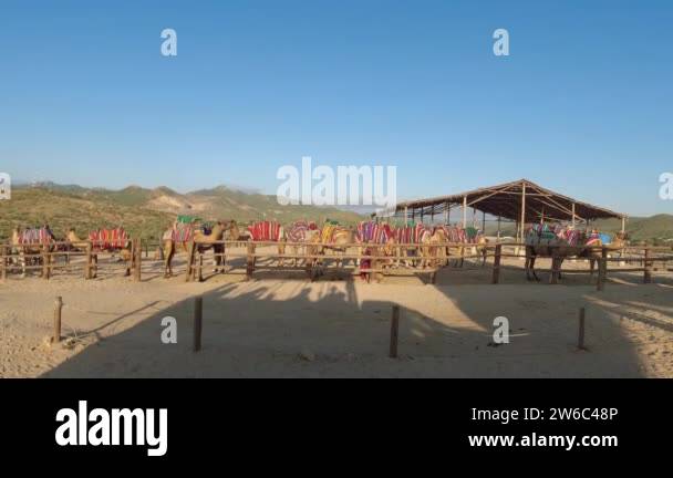 Mexico ranch Stock Videos & Footage - HD and 4K Video Clips - Alamy