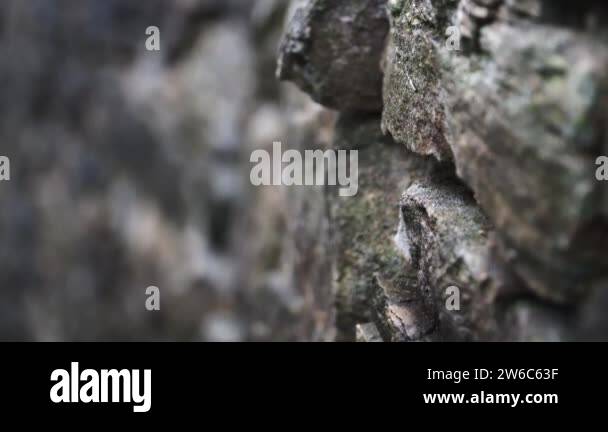 Old drywall Stock Videos & Footage - HD and 4K Video Clips - Alamy