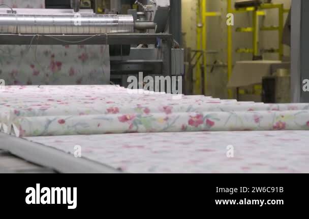Roll of wallpaper. Conveyor line at wallpaper factory. A roll of ...