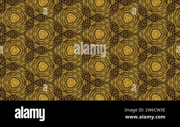 Motion graphic intro clip for grand opening ceremony. Program starting ...