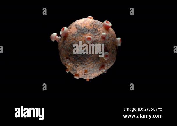 Digital Rendering of Isolated Microscopic Virus Cells and Spores With ...