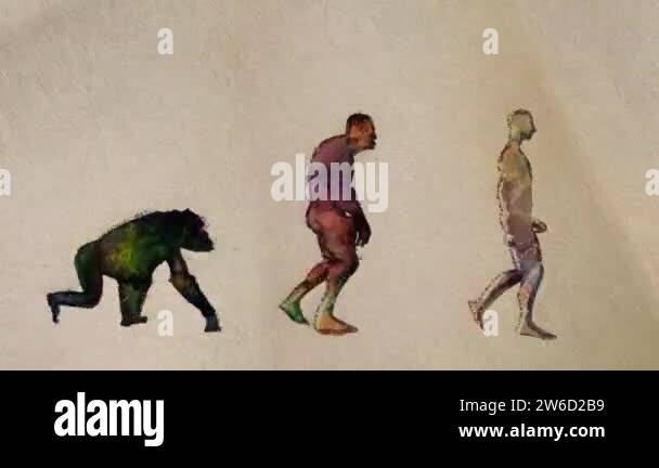 Human Evolution Main Stages Timeline Painting Style Seamless Loop Stock ...