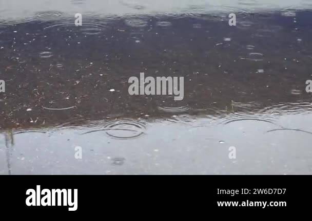 Drops fall on the surface of the puddle. The concept of rain, melting ...