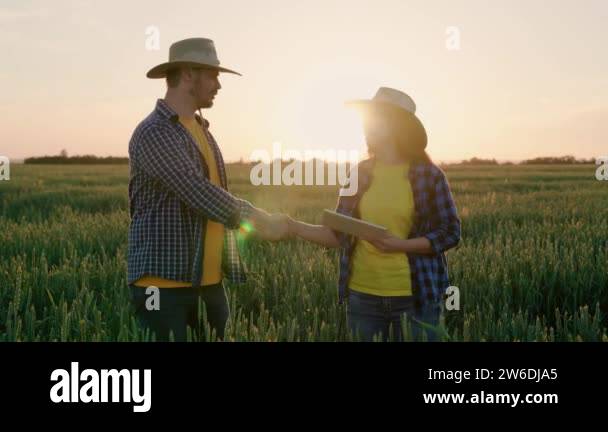 Farmer and businessman, business partners make a deal, in a wheat field ...