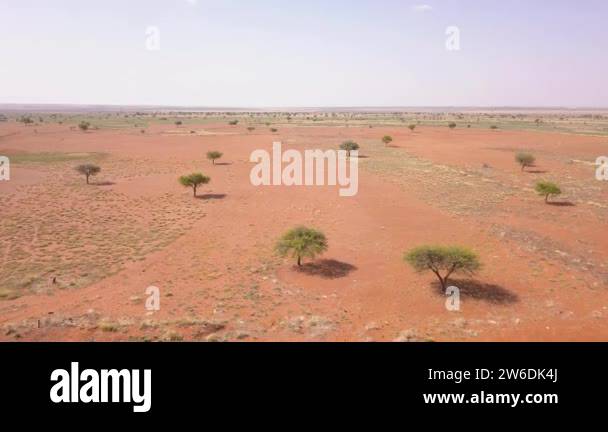 Scrub trees Stock Videos & Footage - HD and 4K Video Clips - Alamy