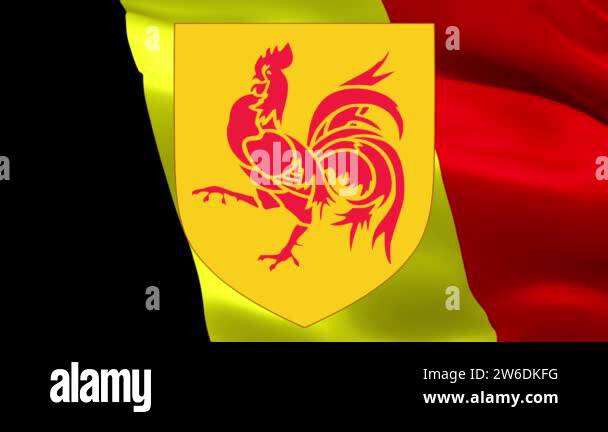 Brussels wallonia Stock Videos & Footage - HD and 4K Video Clips - Alamy